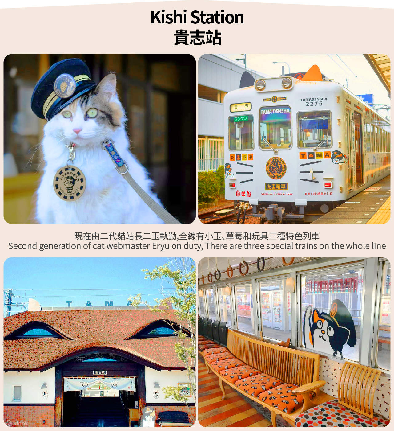[Wakayama & Shirahama] Popular Cat Stationmaster-Kishi Station ...